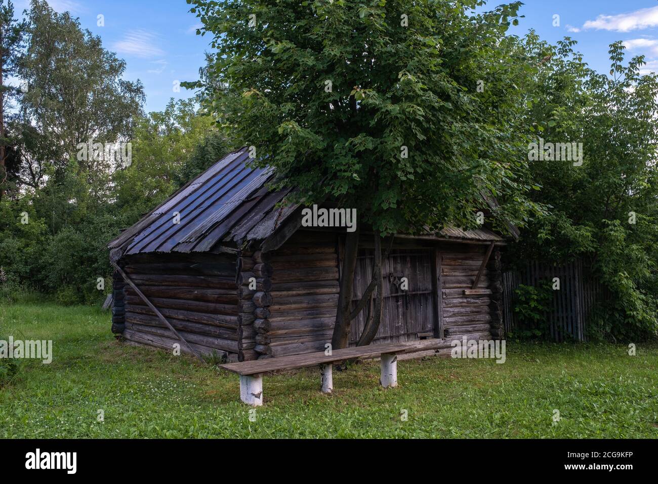 Old rustic barn with a wooden bench and a green tree, Krasnye Gory ...