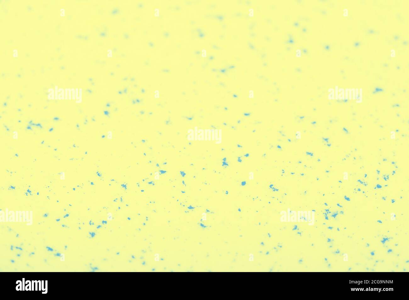 Yellow background with blue dots pattern, spotted blurred background ...