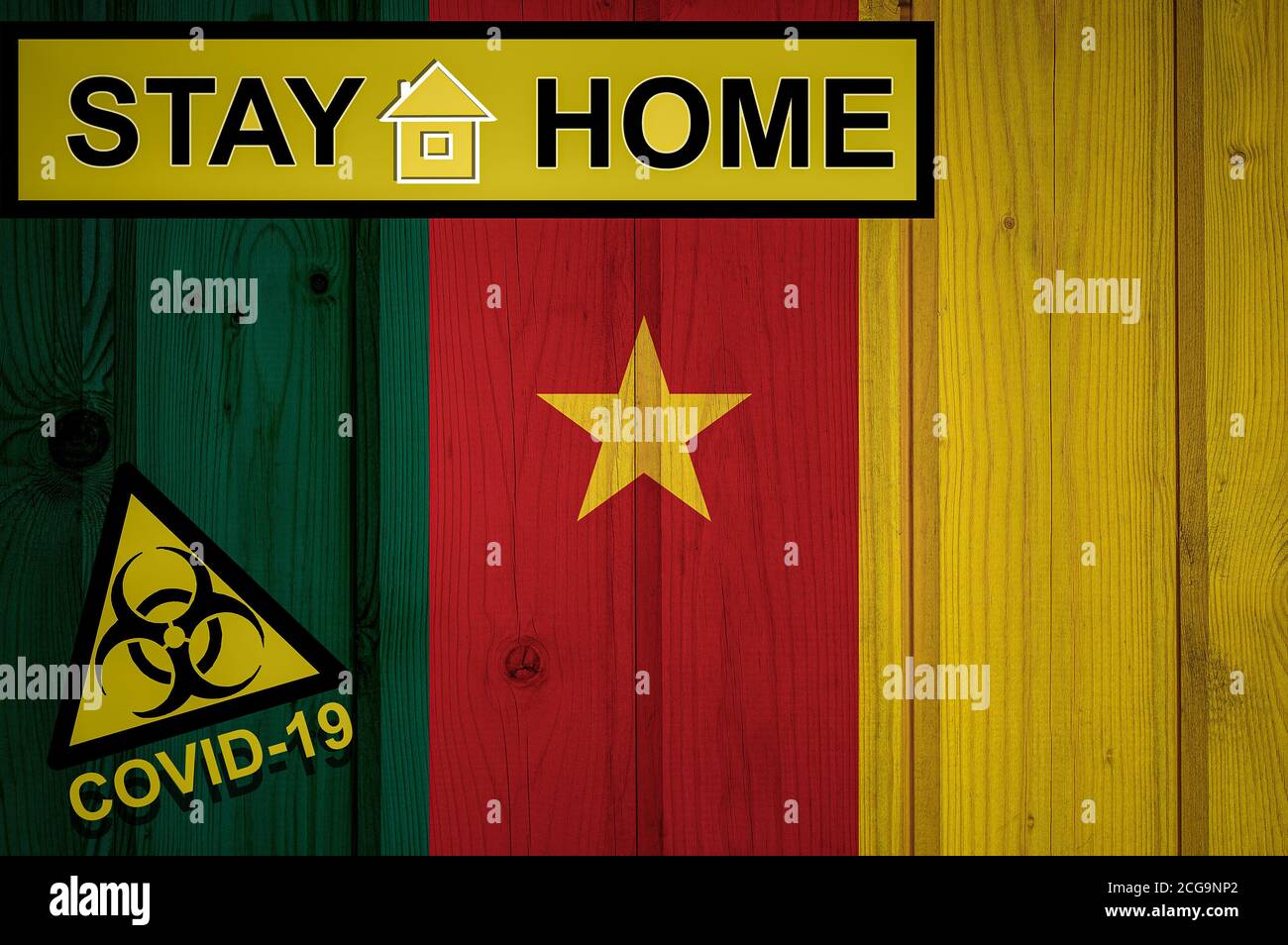 Flag of the Cameroon in original proportions. Quarantine and isolation ...