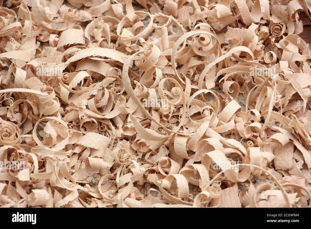 Tree wooden chipping shavings hi-res stock photography and images - Alamy