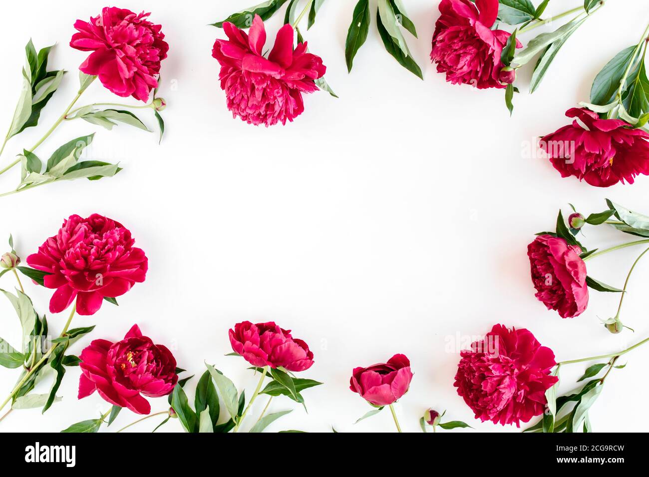 Frame made of beautiful red peonies on white background. Flat lay, top ...