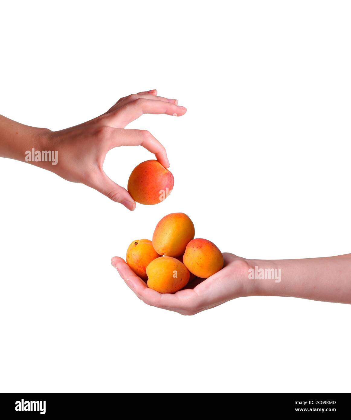 Female hand with tasty apricot on white background. Cream for hands and ...