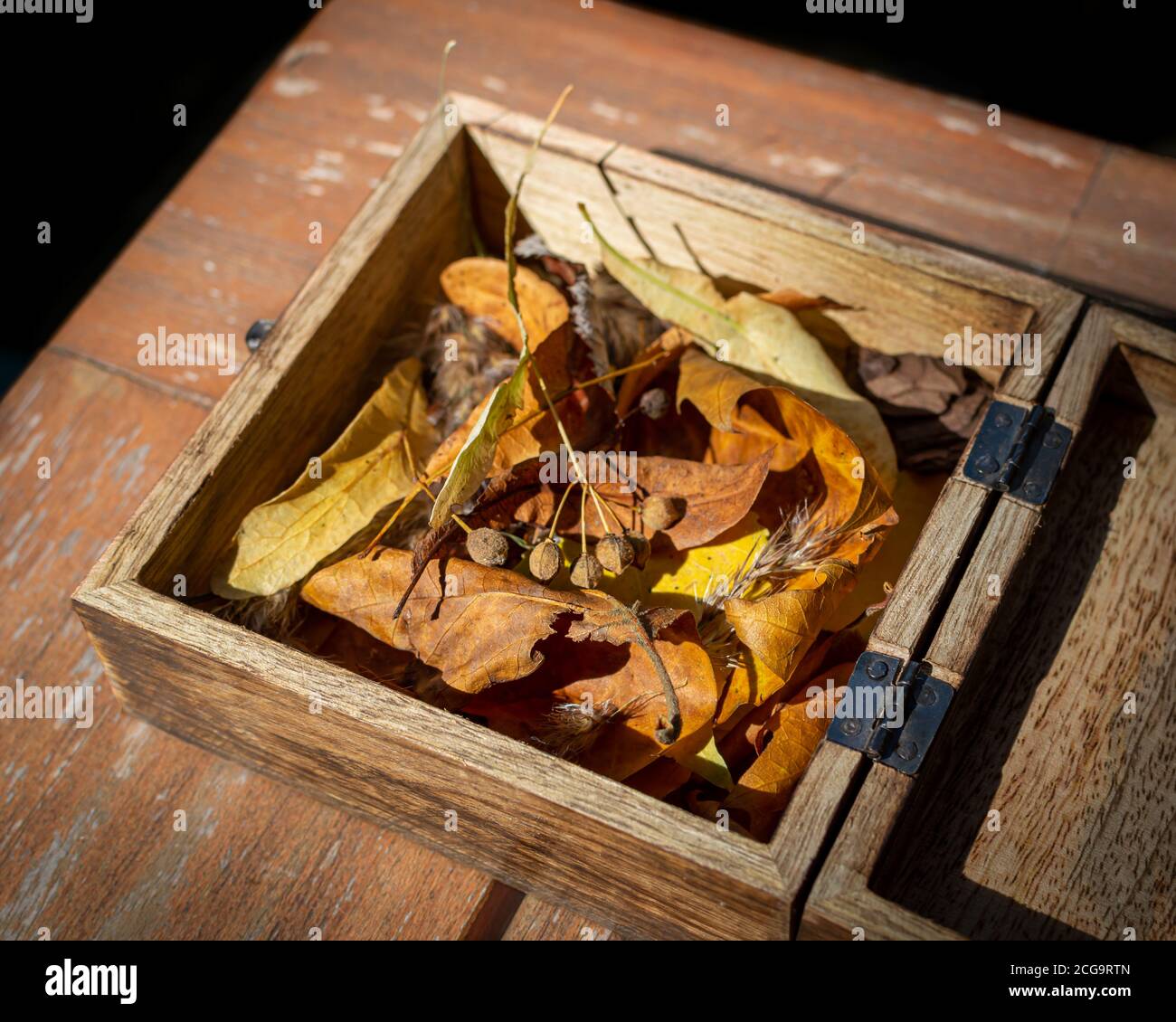 Keeping treasures hi-res stock photography and images - Alamy