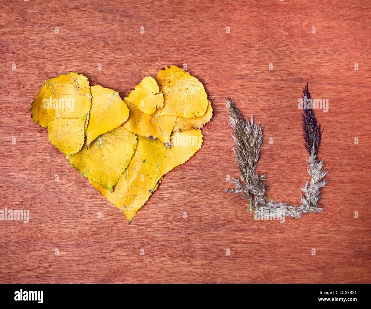 Yellow leaves and common reed flower forming the message "love U Stock ...