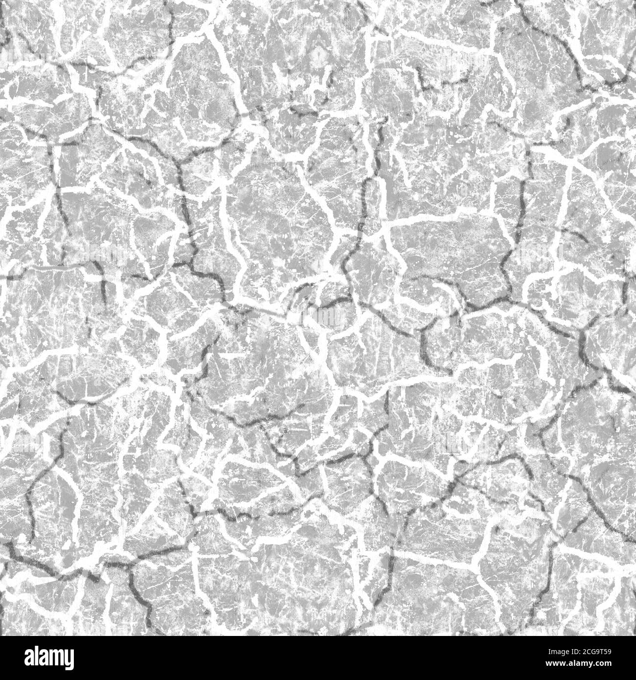 Seamless Cracked Stone Texture