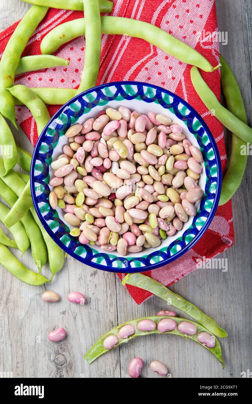 Getting beans from their pods and preparing them for cooking in the ...