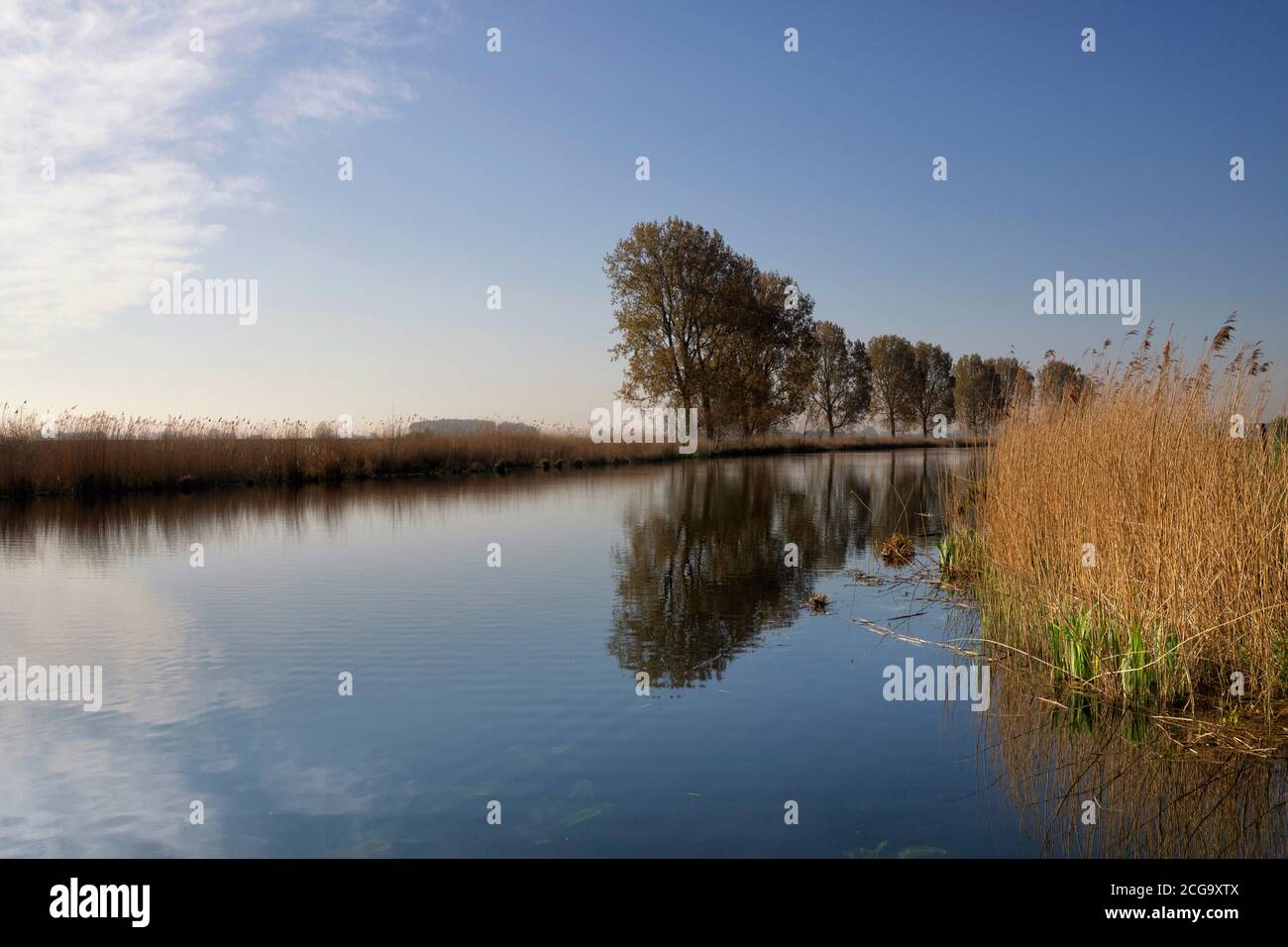 Trees reflecting in a canal hi-res stock photography and images - Alamy