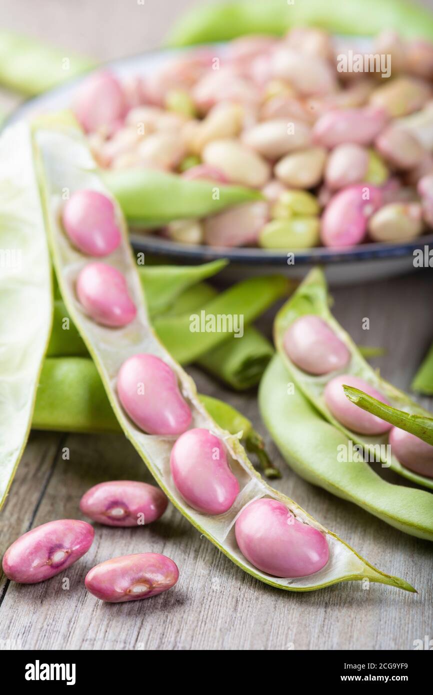 Getting beans from their pods and preparing them for cooking in the ...