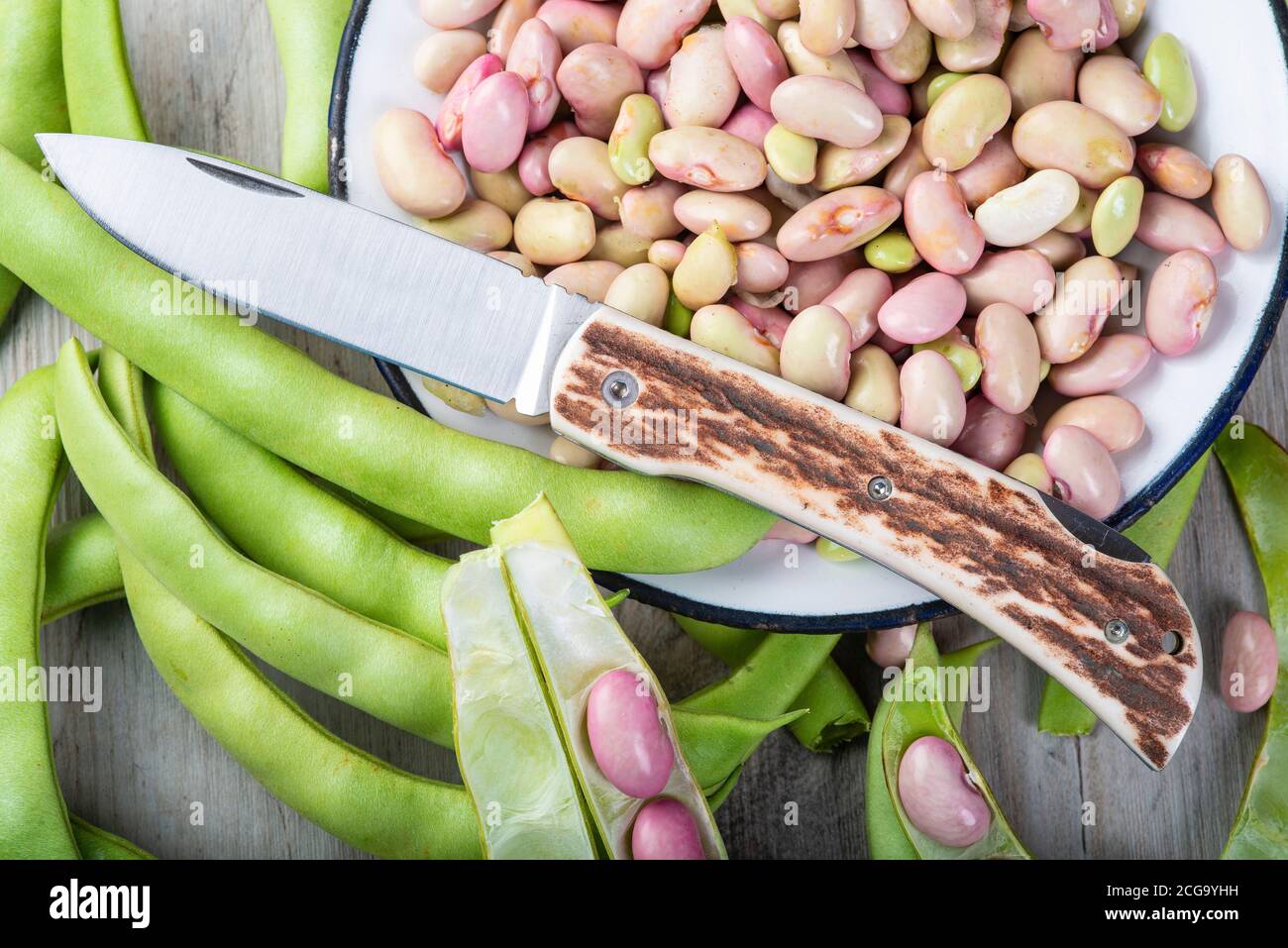 Getting beans from their pods and preparing them for cooking in the ...