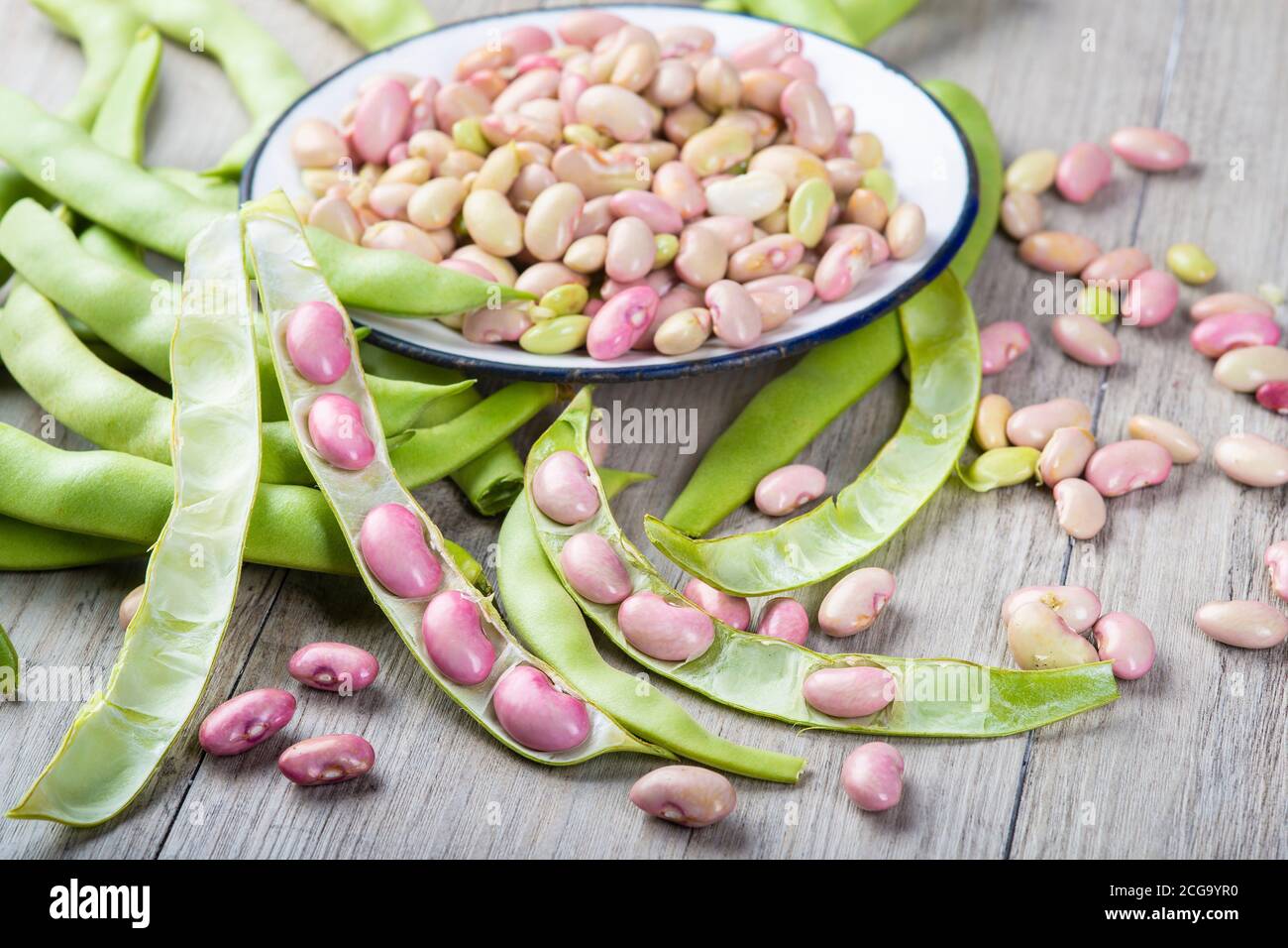 Getting beans from their pods and preparing them for cooking in the ...