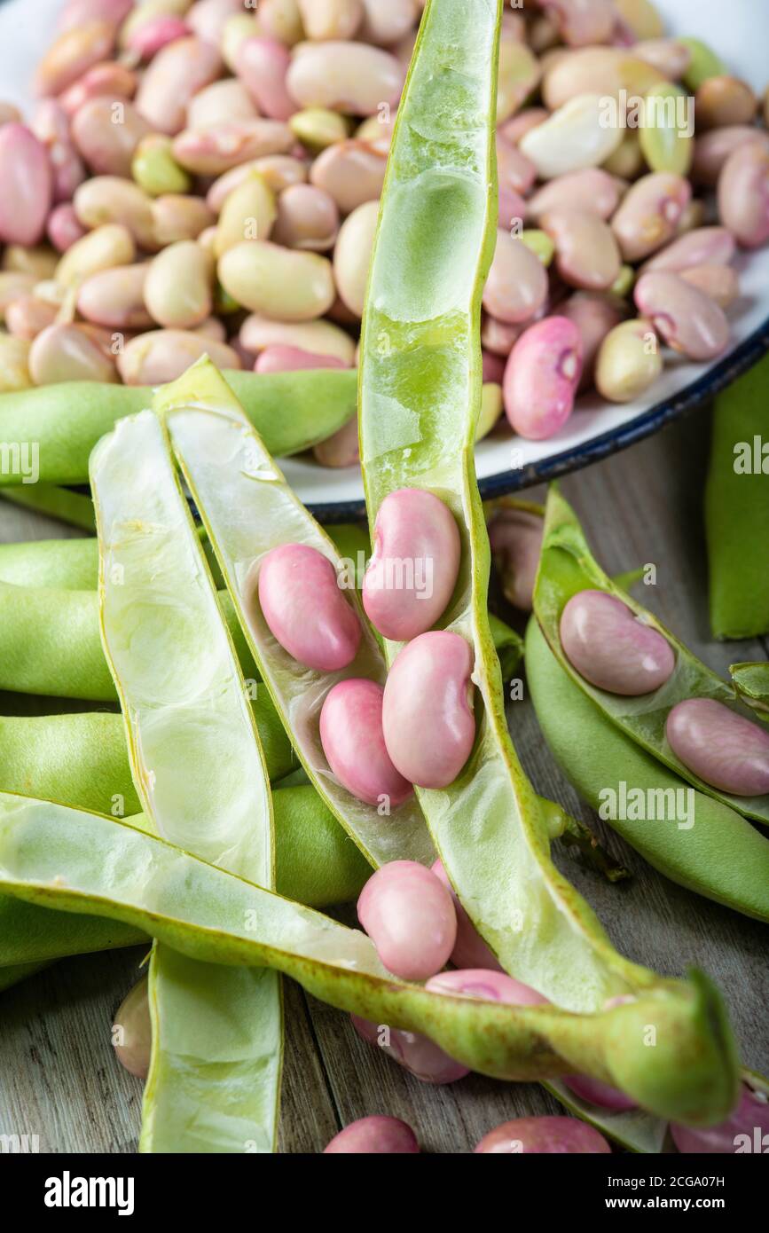 Getting beans from their pods and preparing them for cooking in the ...