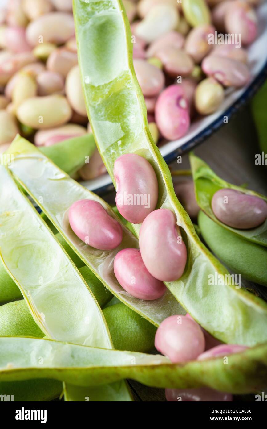 Getting beans from their pods and preparing them for cooking in the ...