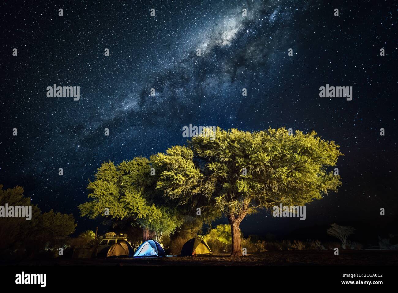 Camping below tree and Milky way galaxy in the desert of Namibia - one ...