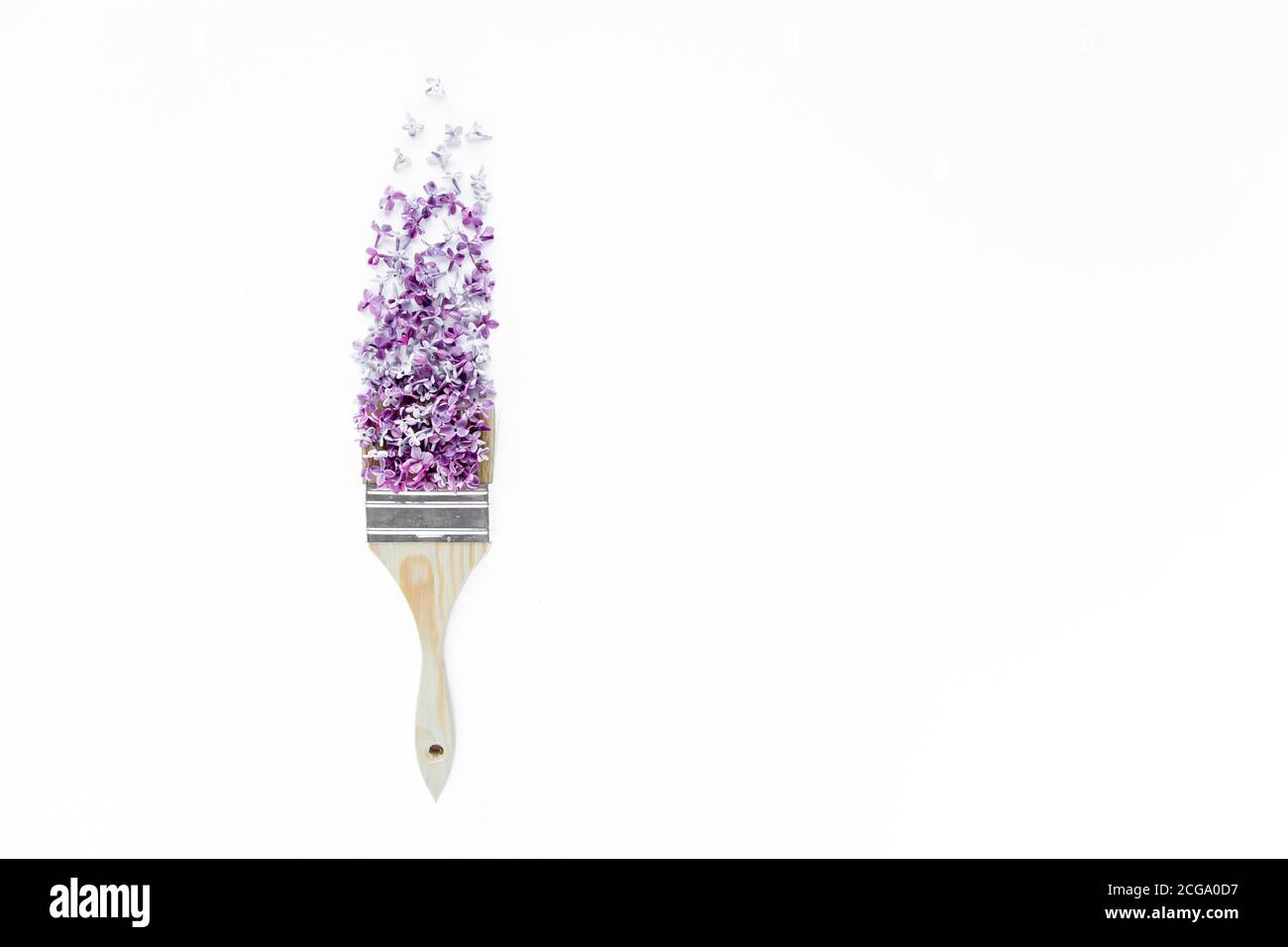 Flowers and brush with purple lilac isolated on white background. Flat ...