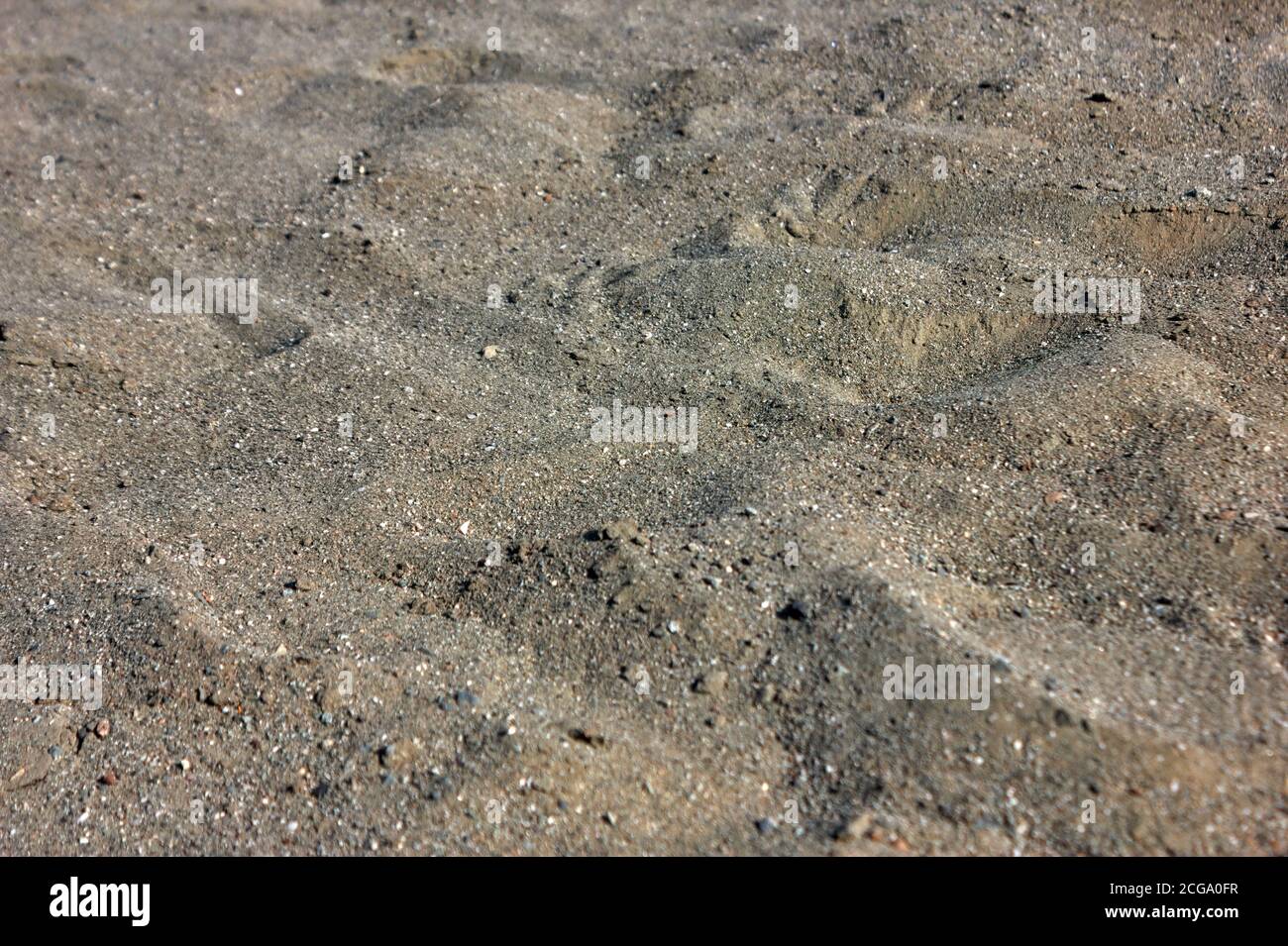 Natural texture of wet sand. Close-up photo. Background Stock Photo - Alamy