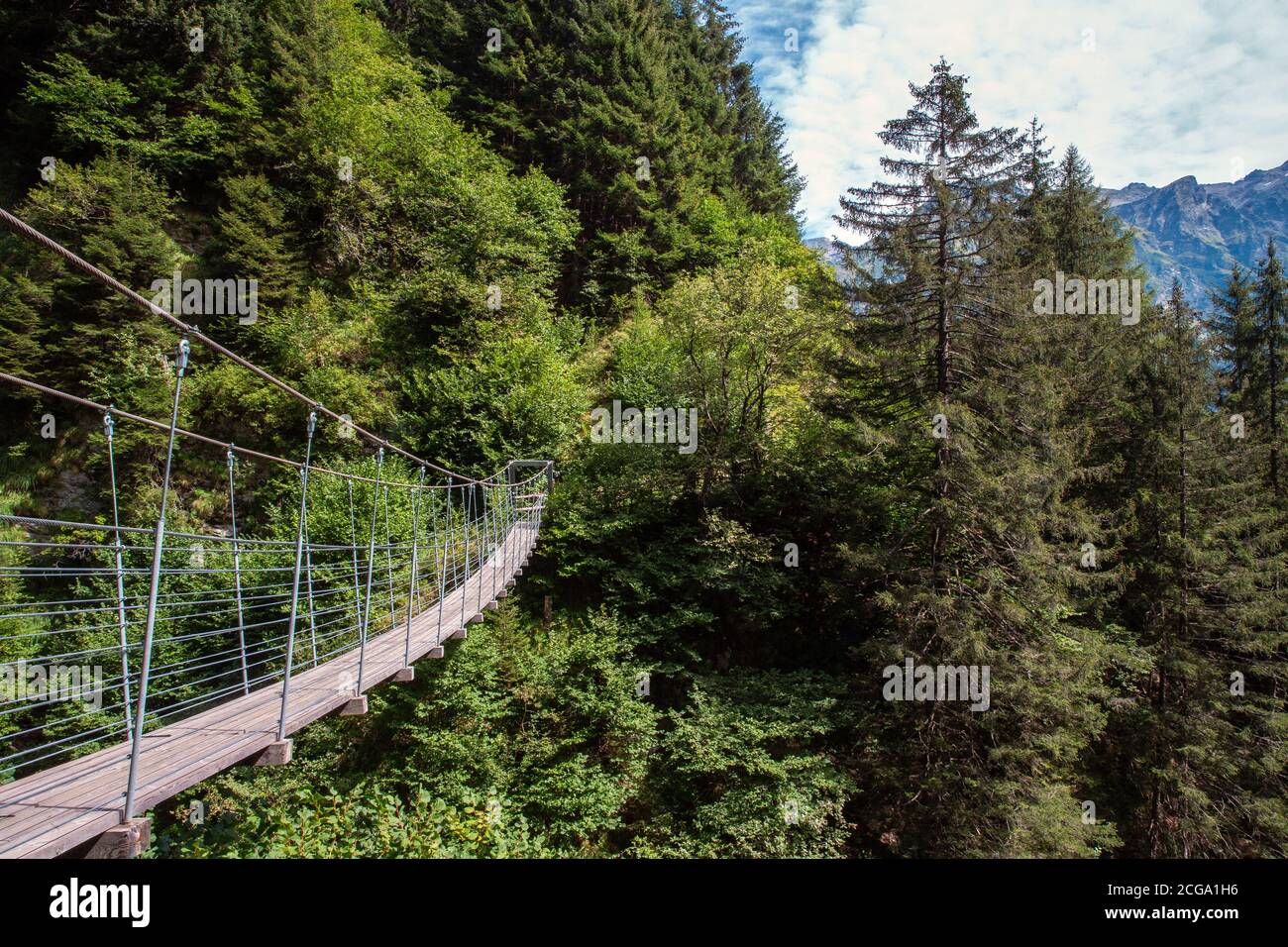 Long rope wooden bridge hi-res stock photography and images - Alamy