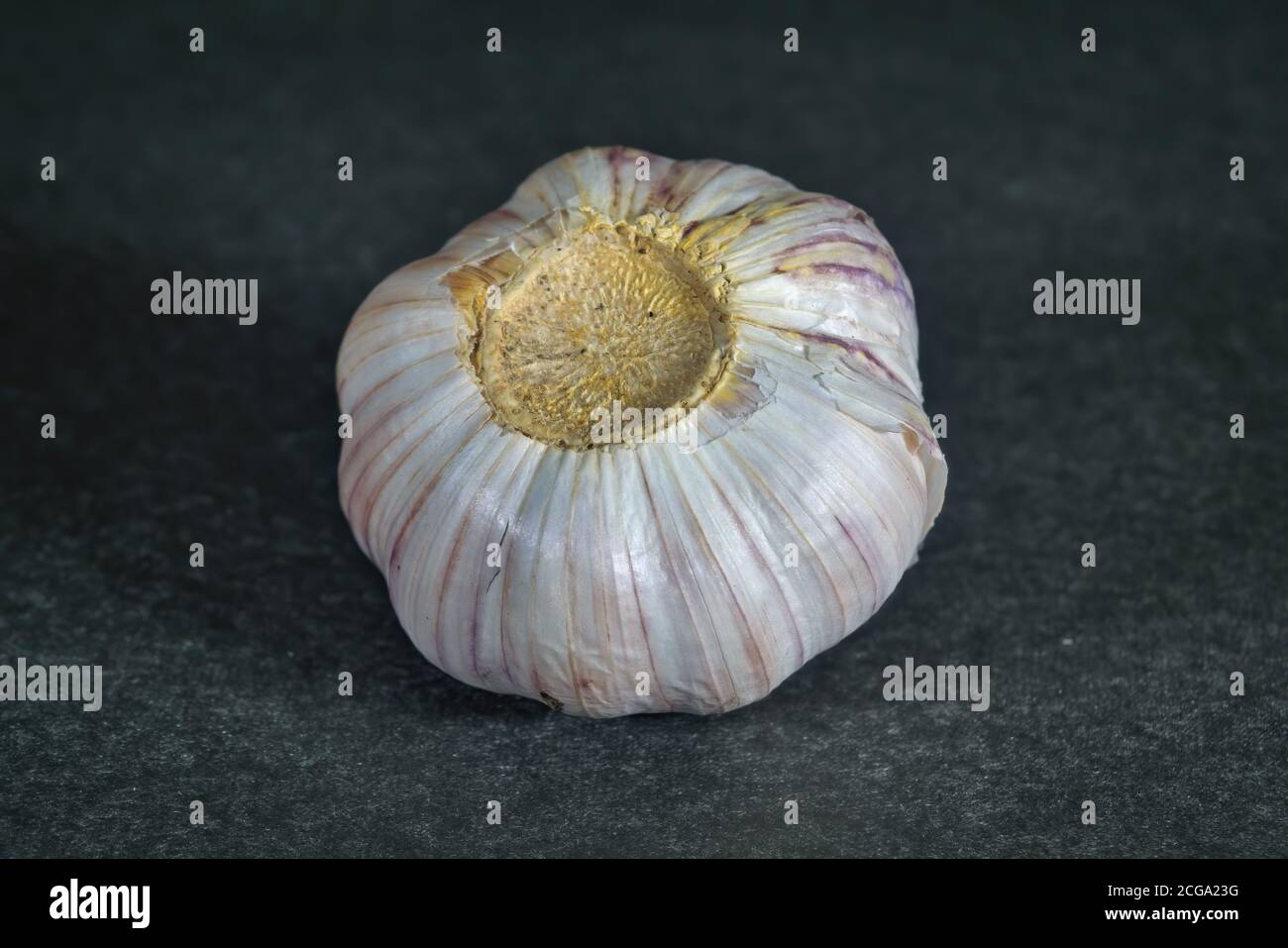 Single fresh garlic isolated on darck background. Close-up Stock Photo ...