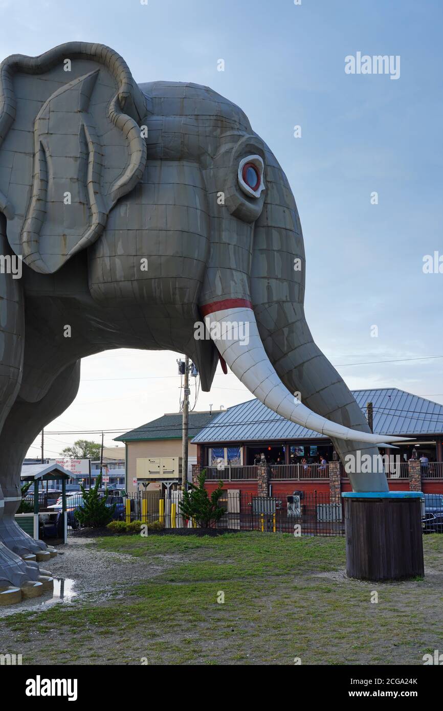 MARGATE, NJ -4 SEP 2020- View of Lucy the Elephant, a landmark roadside ...