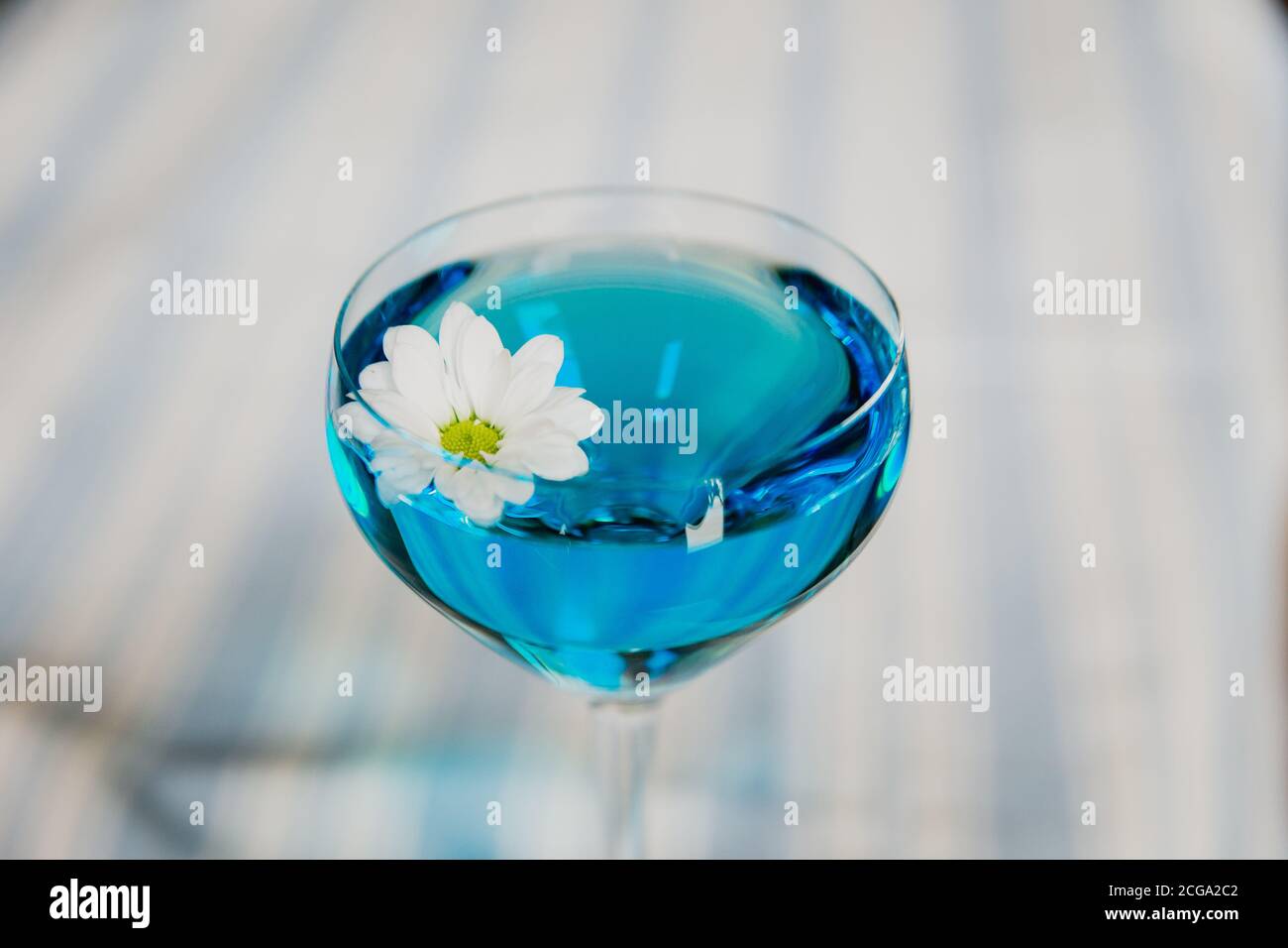 A bright blue cocktail in a nick and nora glass garnished with a ...