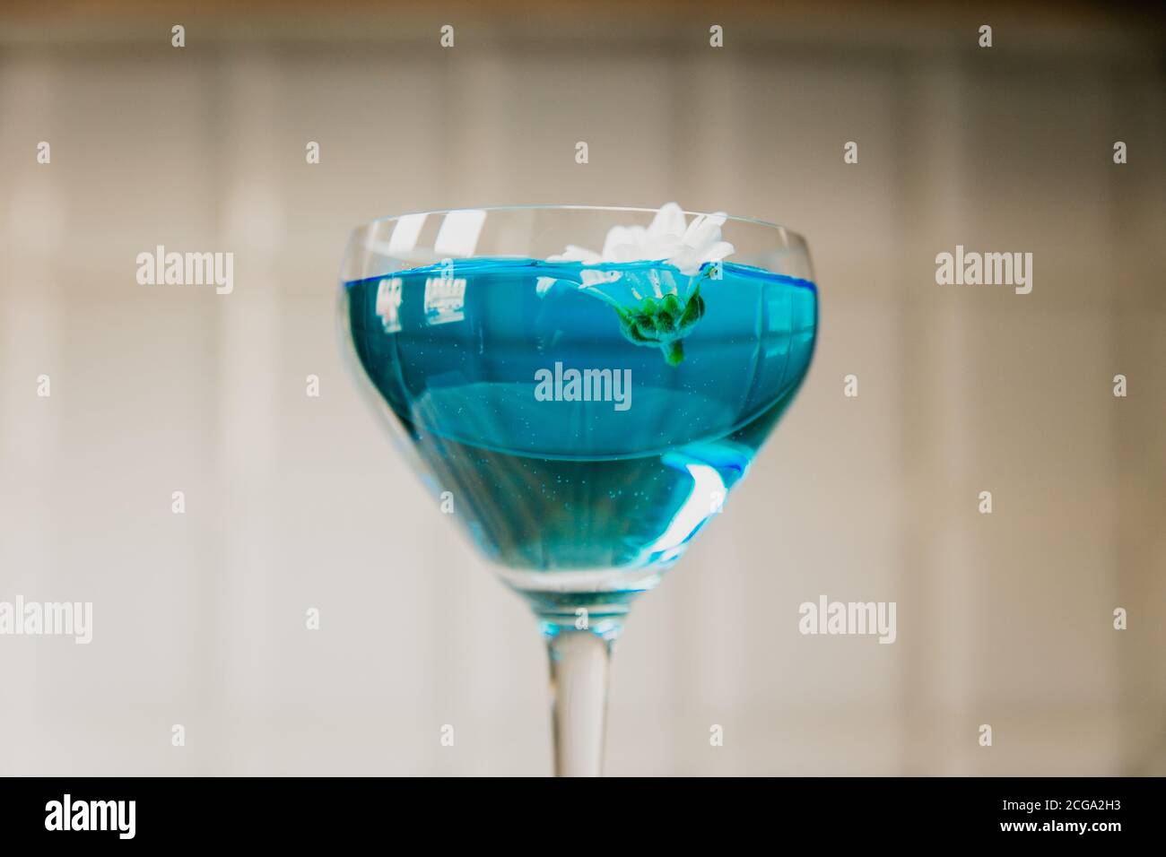 A bright blue cocktail in a nick and nora glass garnished with a ...