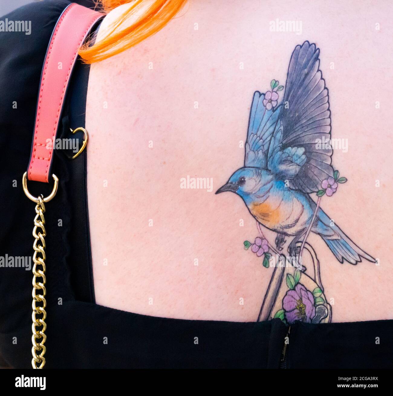 Bird Tattoo Across Back