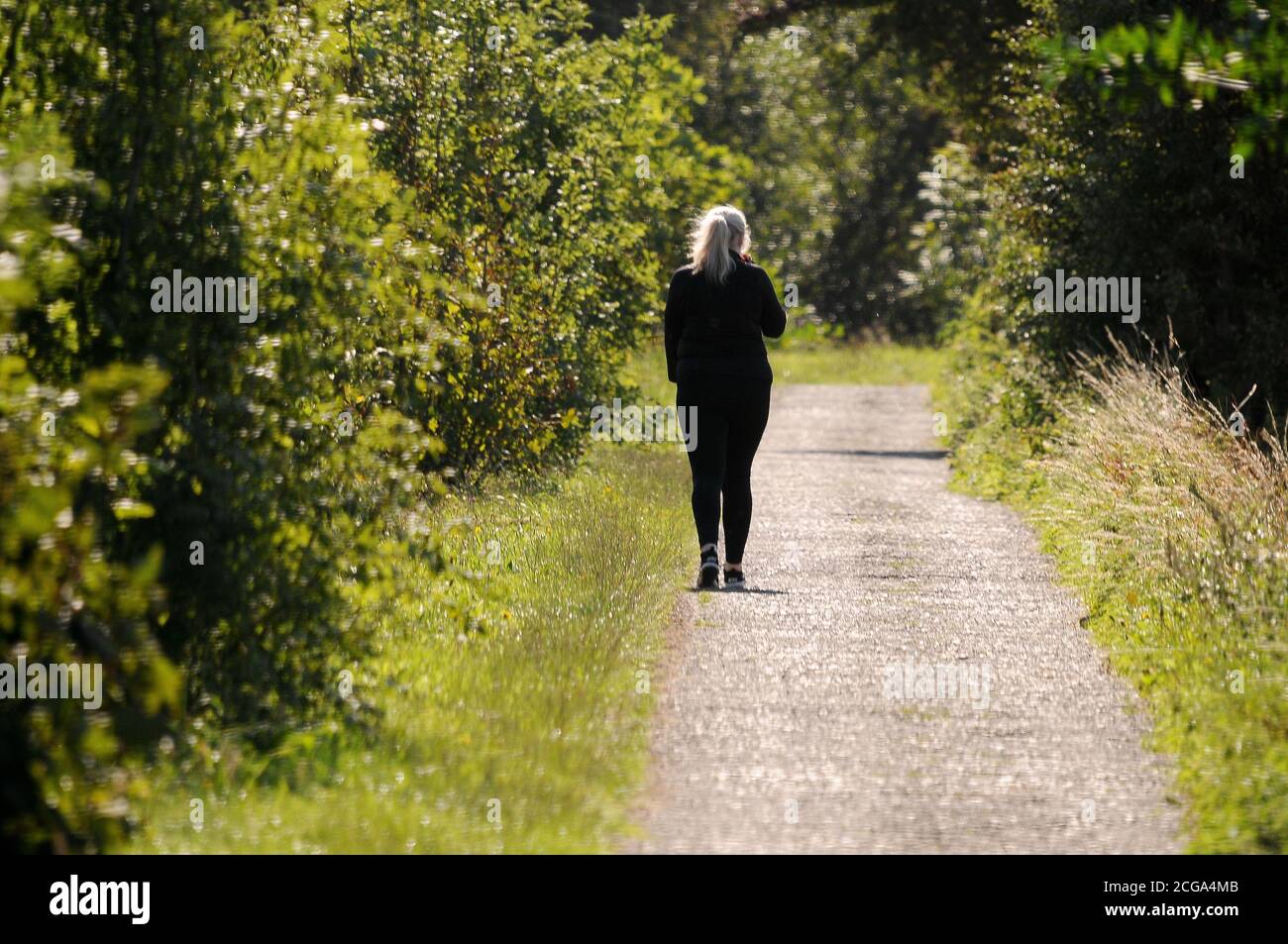 Sunny September morning on the Leeds/Liverpool canal in Maghull, Sefton ...