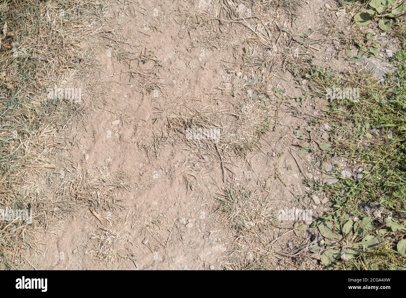 Trodden Ground High Resolution Stock Photography and Images - Alamy