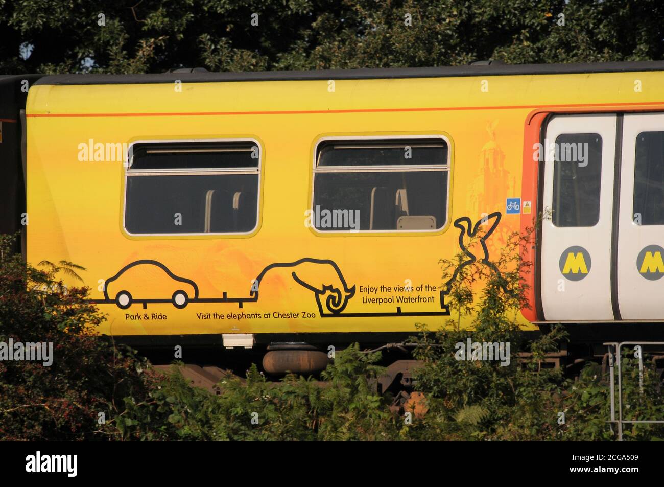 Sunny September morning on the Leeds/Liverpool canal in Maghull, Sefton ...