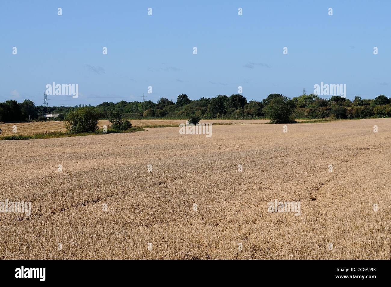 Sunny September morning on the Leeds/Liverpool canal in Maghull, Sefton ...