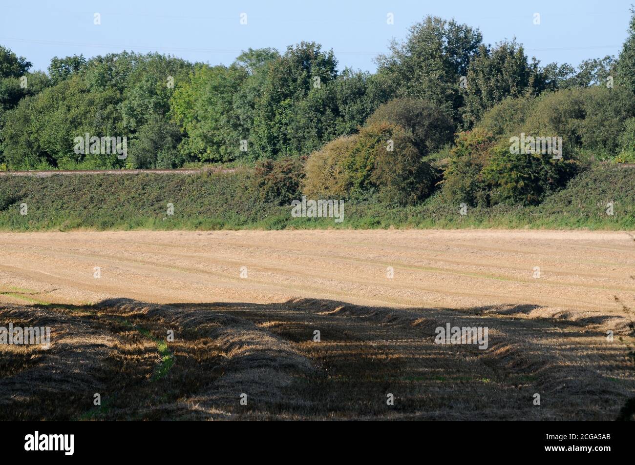 Sunny September morning on the Leeds/Liverpool canal in Maghull, Sefton ...