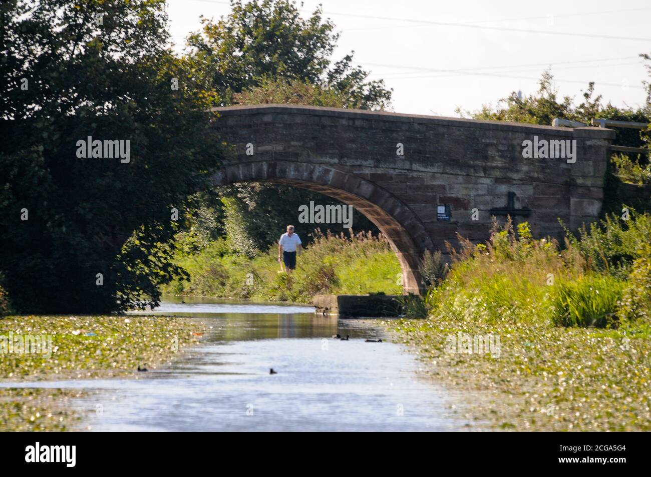 Sunny September morning on the Leeds/Liverpool canal in Maghull, Sefton ...