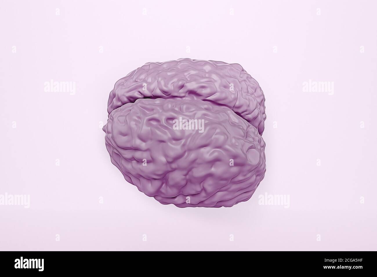 human brain model on light background, 3d illustration Stock Photo - Alamy