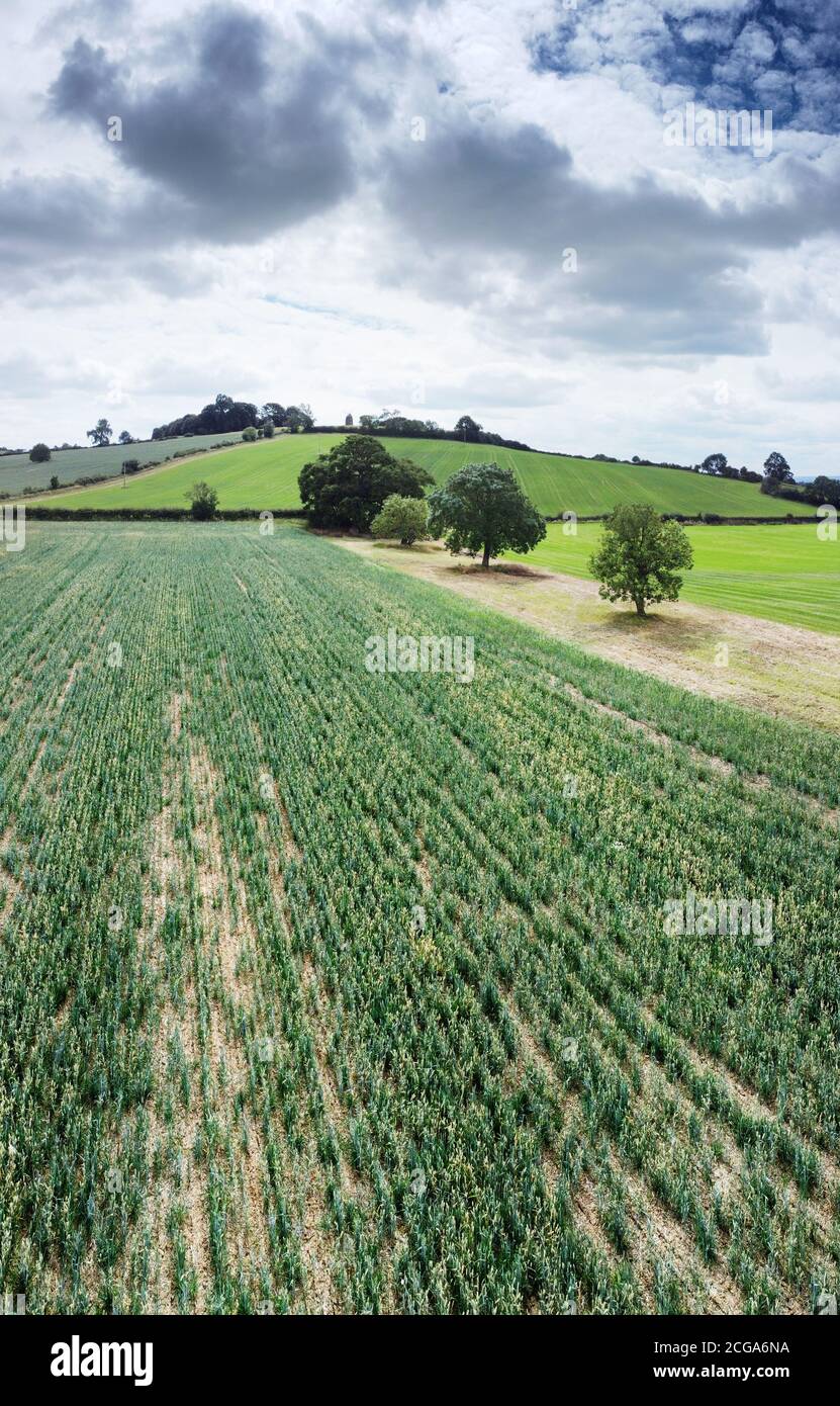 Windmill at tysoe hi-res stock photography and images - Alamy