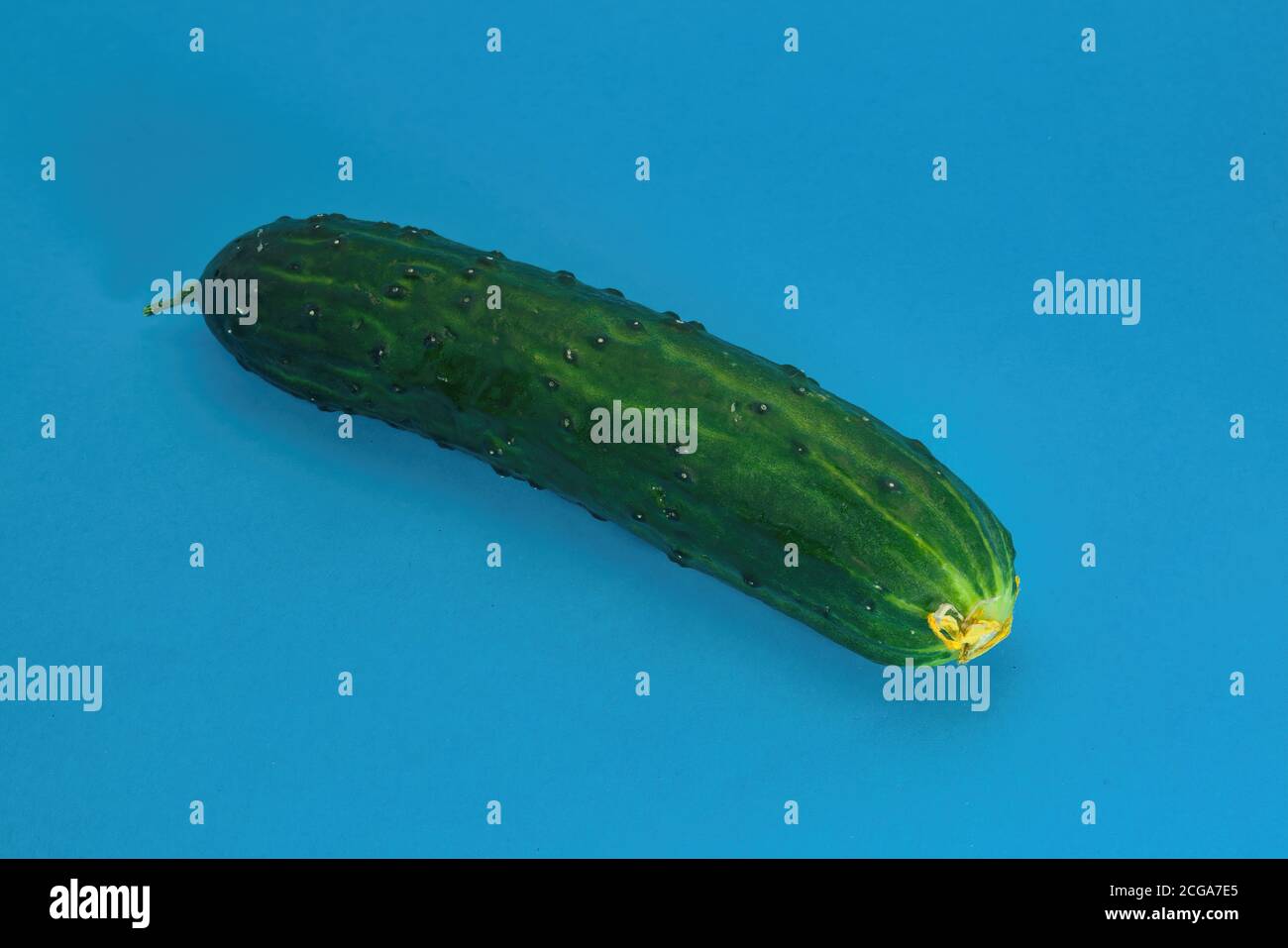 Close up group fresh cucumber hi-res stock photography and images - Alamy