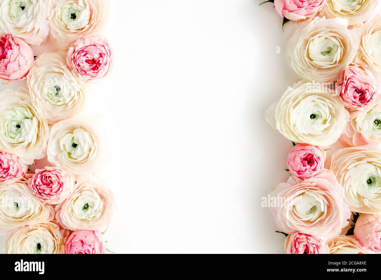 Floral frame borders made of pink ranunculus and roses flower buds on ...
