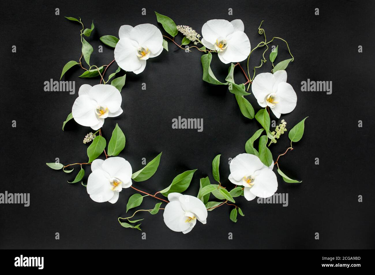 Round frame of white orchids and green leaves on a black background ...