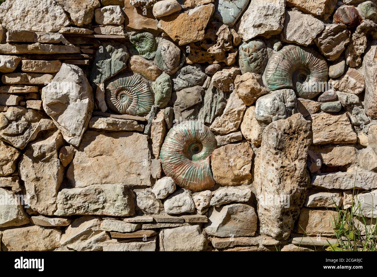 Stone wall with round shells, background texture for designer Stock ...
