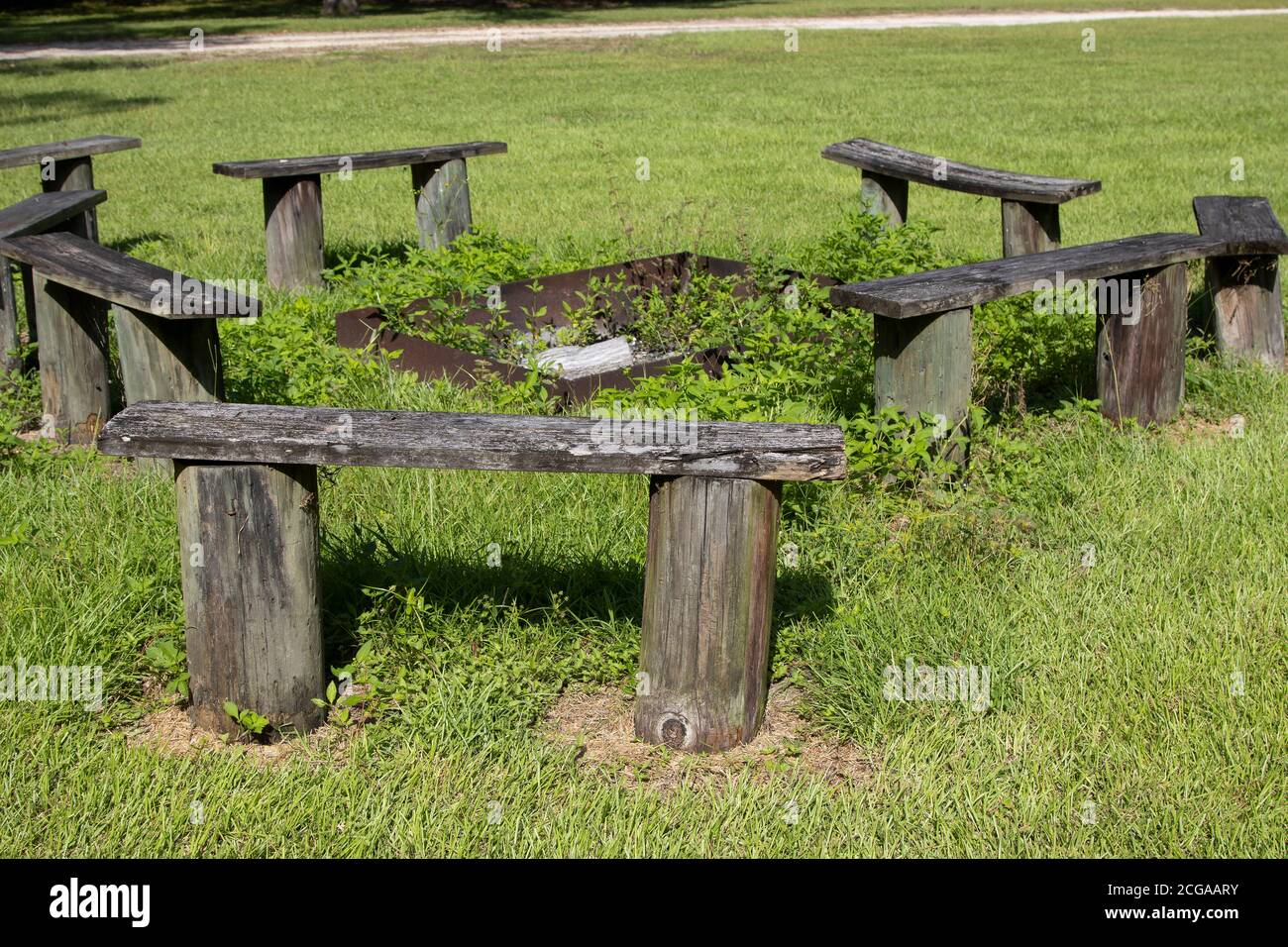 Campfire pit in Goethe State Forest in Levy County, Florida Stock Photo ...