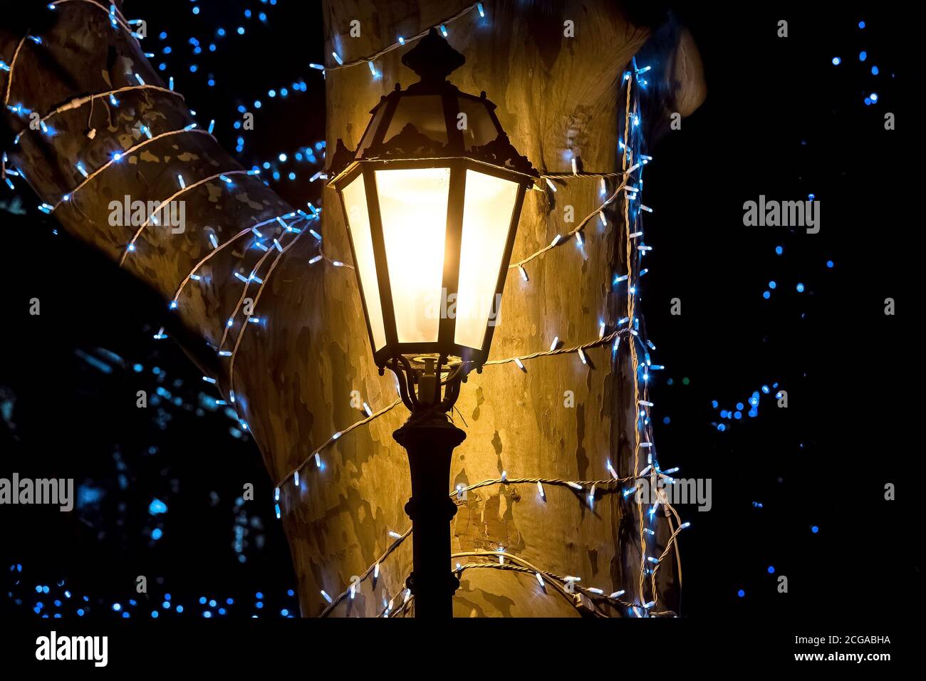 iron retro lamp post shines with warm light by the tree trunk with ...