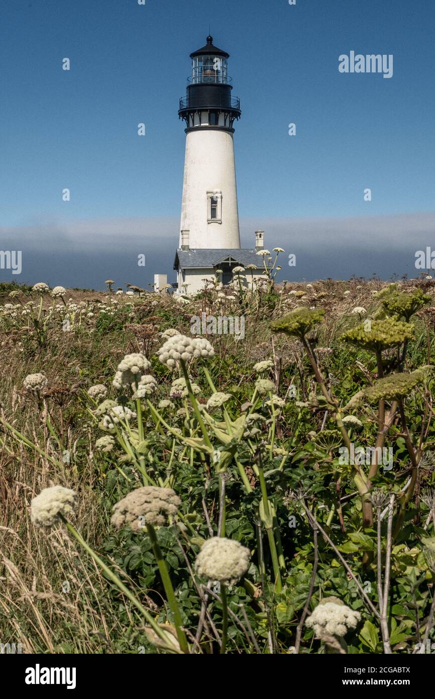 Oregon sea and flowers hi-res stock photography and images - Alamy