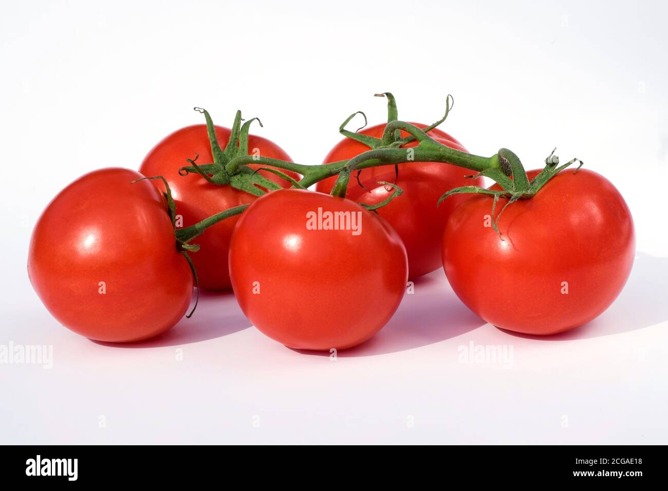 Five fresh, red tomatoes on a vine Stock Photo - Alamy