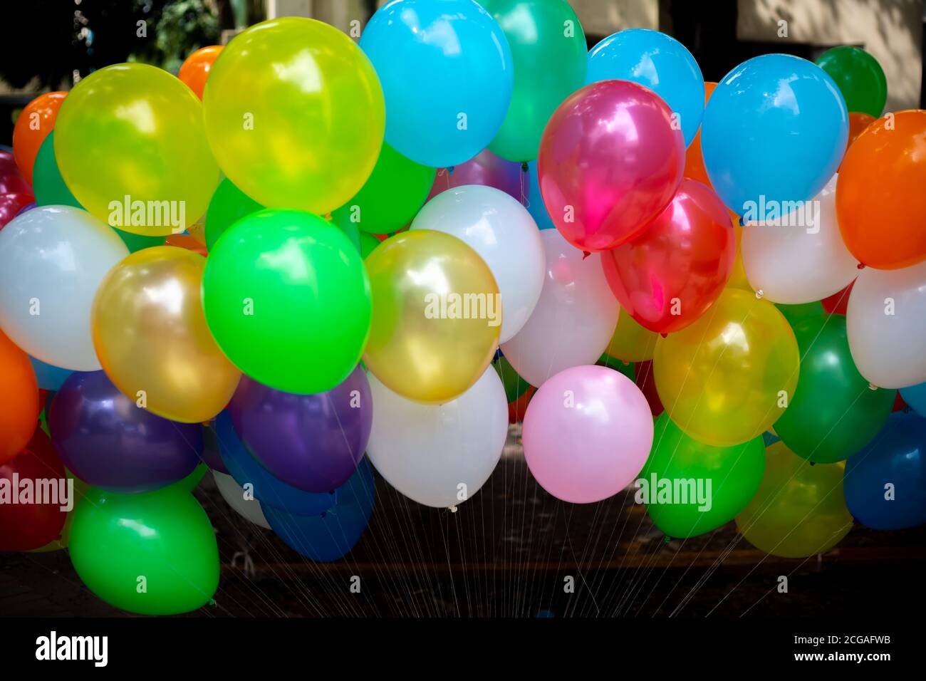 Balloon stuck tree hi-res stock photography and images - Alamy