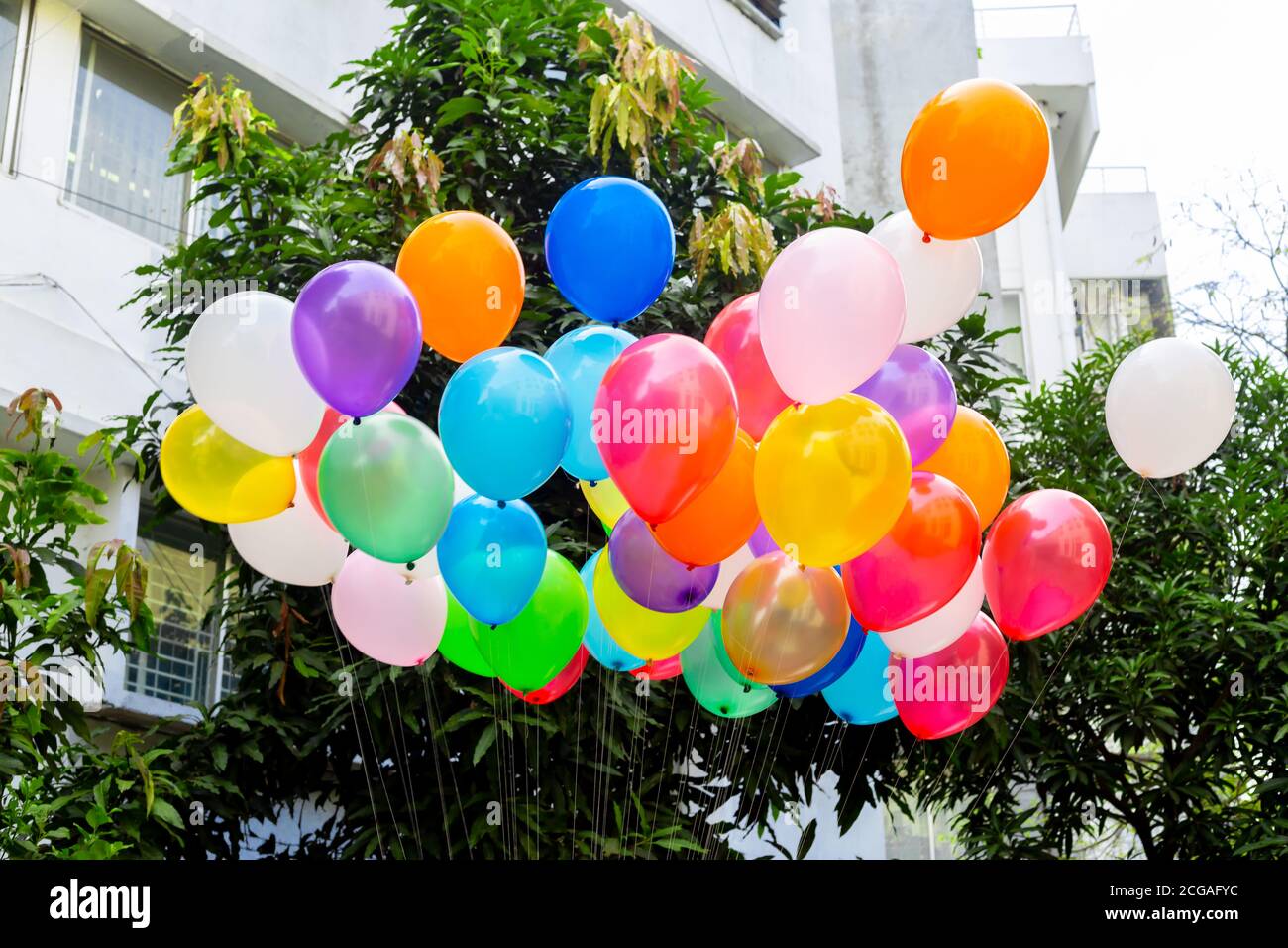 Colorful balloons filled with gas tied to the thread are flying Stock ...