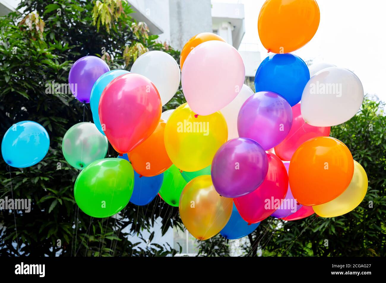 Colorful balloons filled with gas tied to the thread are flying Stock ...