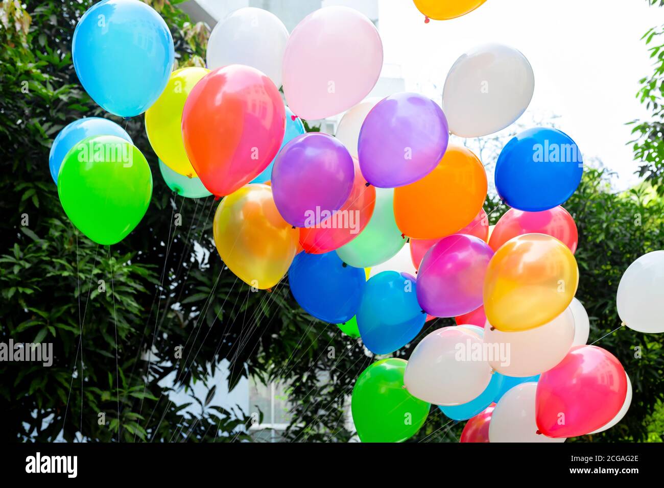 Colorful balloons filled with gas tied to the thread are flying Stock ...