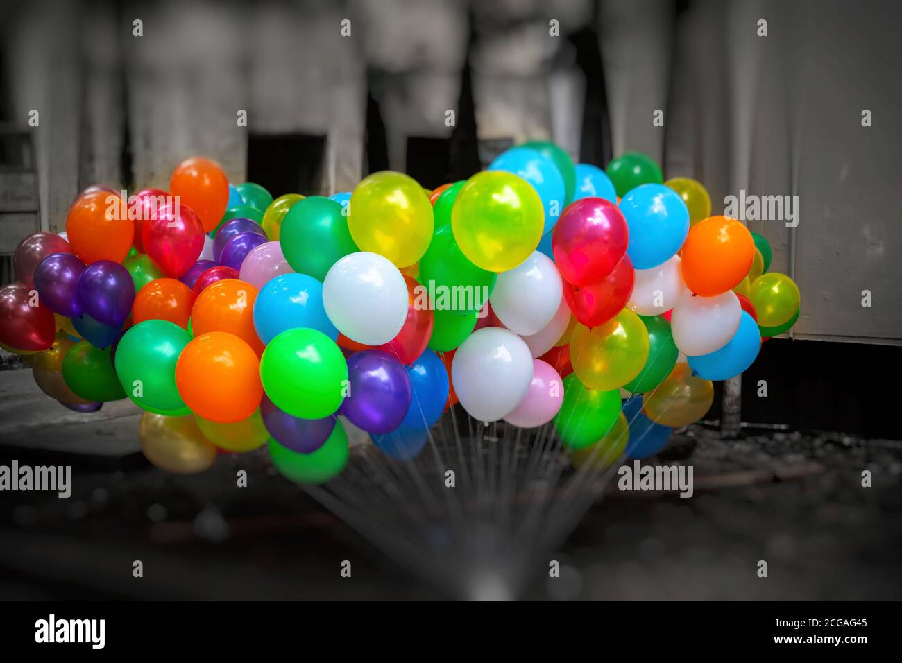 A bunch of colorful gas-filled balloons on dark background Stock Photo ...