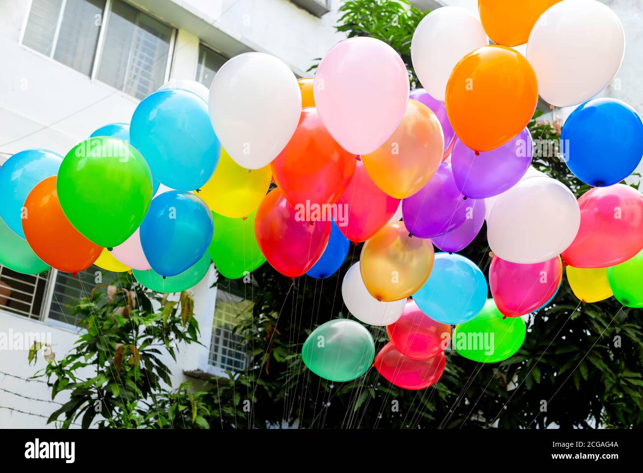 Colorful balloons filled with gas tied to the thread are flying Stock ...