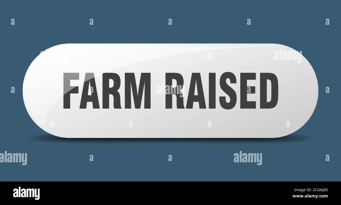 farm raised button. rounded glass sign. sticker. banner Stock Vector ...
