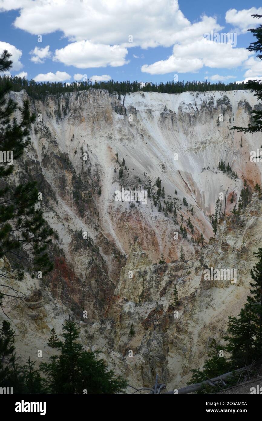 Color toned canyon in Yellowstone National Park Stock Photo - Alamy