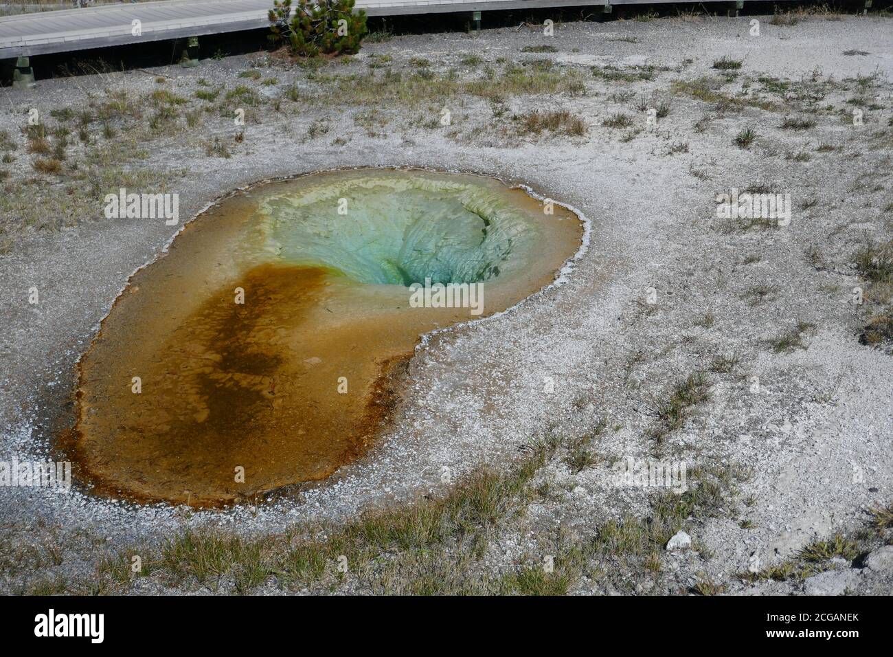 Belgian Pool, Upper geyser basin, Yellowstone National Park, Wyoming ...